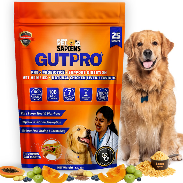 Pre + Probiotics Formula for Dog